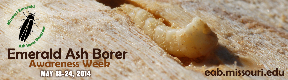 Missouri Department of Agriculture (MDA)